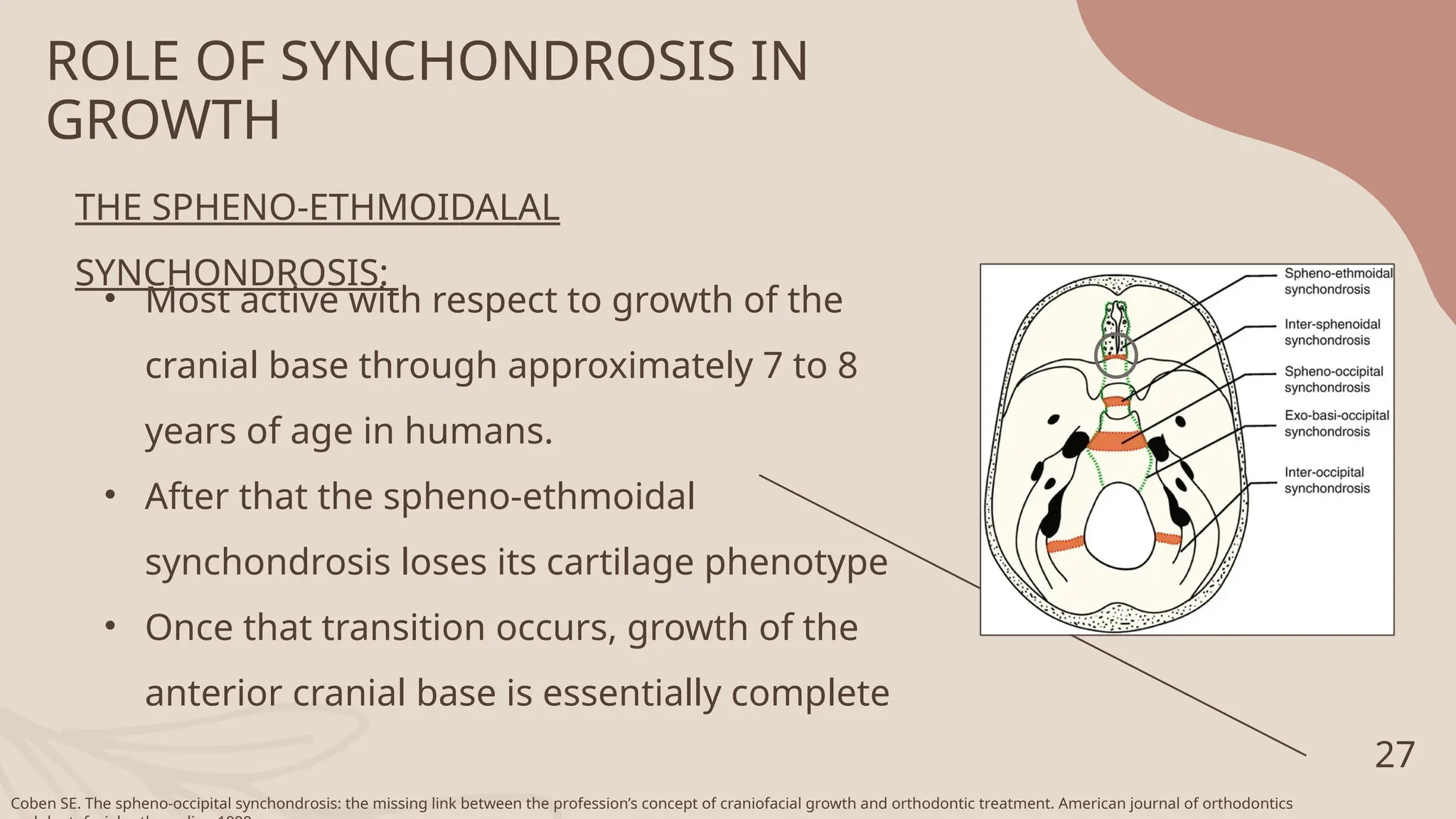 SYNCHONDROSIS IN ORTHODONTICS AND ITS SIGNIFICANCE IN GROWTH | PPTX
