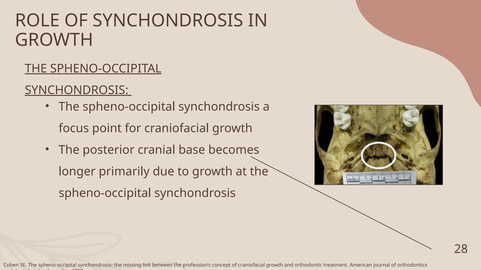 SYNCHONDROSIS IN ORTHODONTICS AND ITS SIGNIFICANCE IN GROWTH | PPTX
