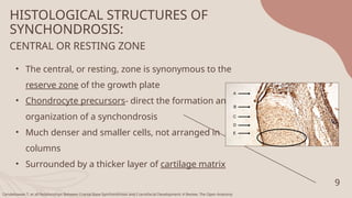 SYNCHONDROSIS IN ORTHODONTICS AND ITS SIGNIFICANCE IN GROWTH | PPTX