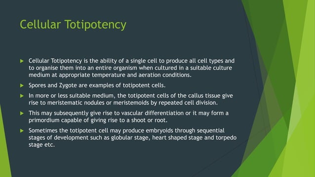 Synchronizaation of suspension culture, cellular totipotency, cytodifferentiation | PPT