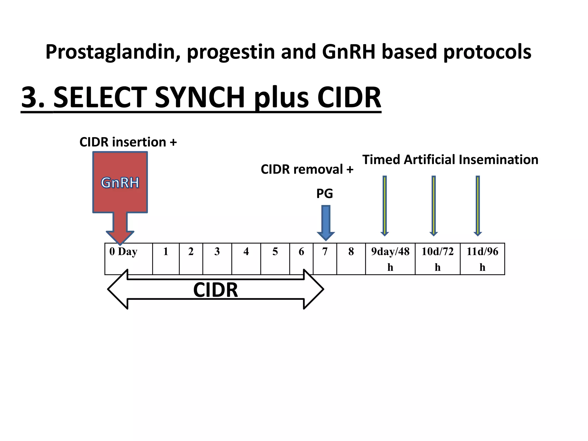 synchronization and superovulation.pptx