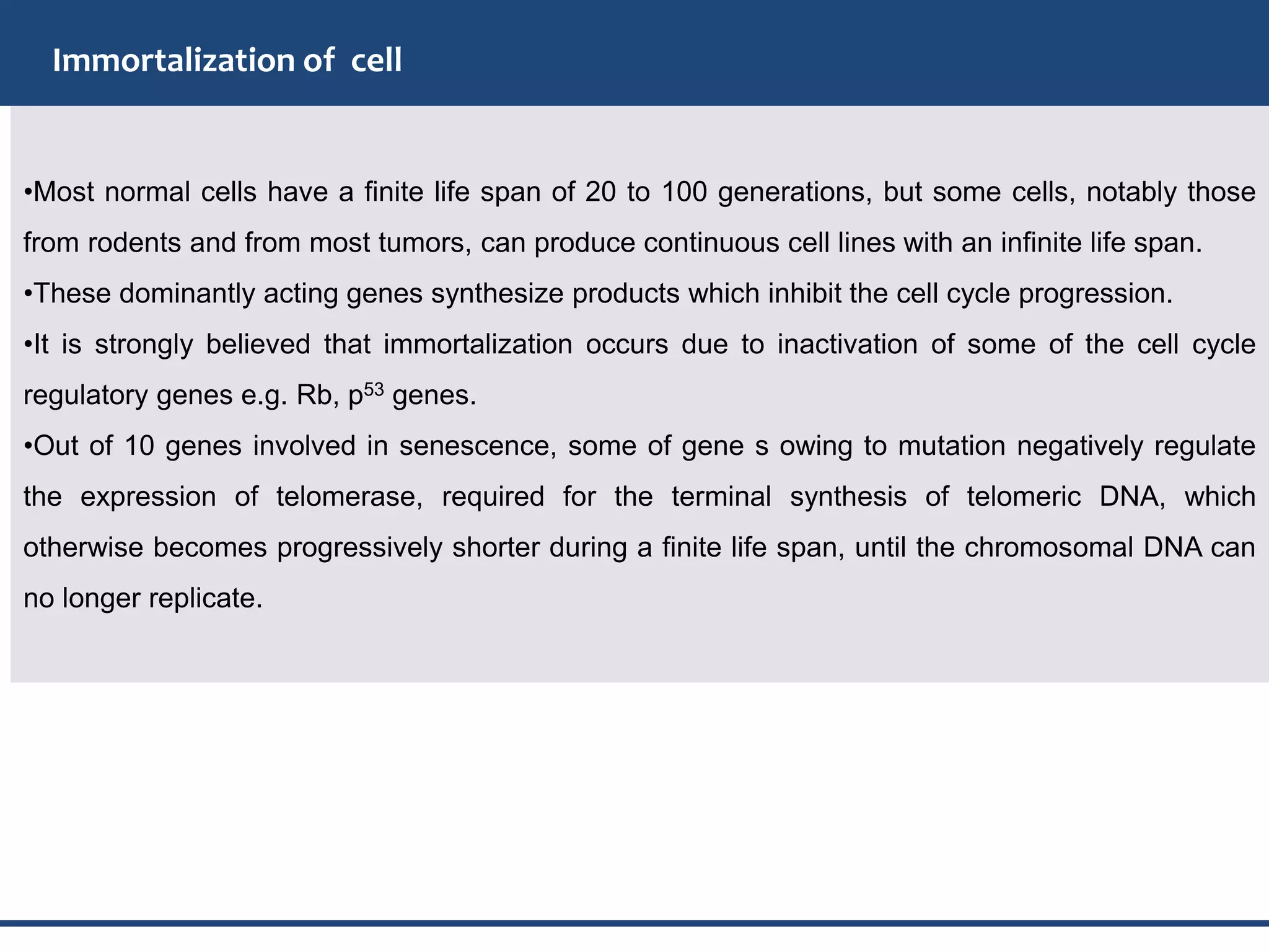 12. Cell synchronization and Immortalization | PPT