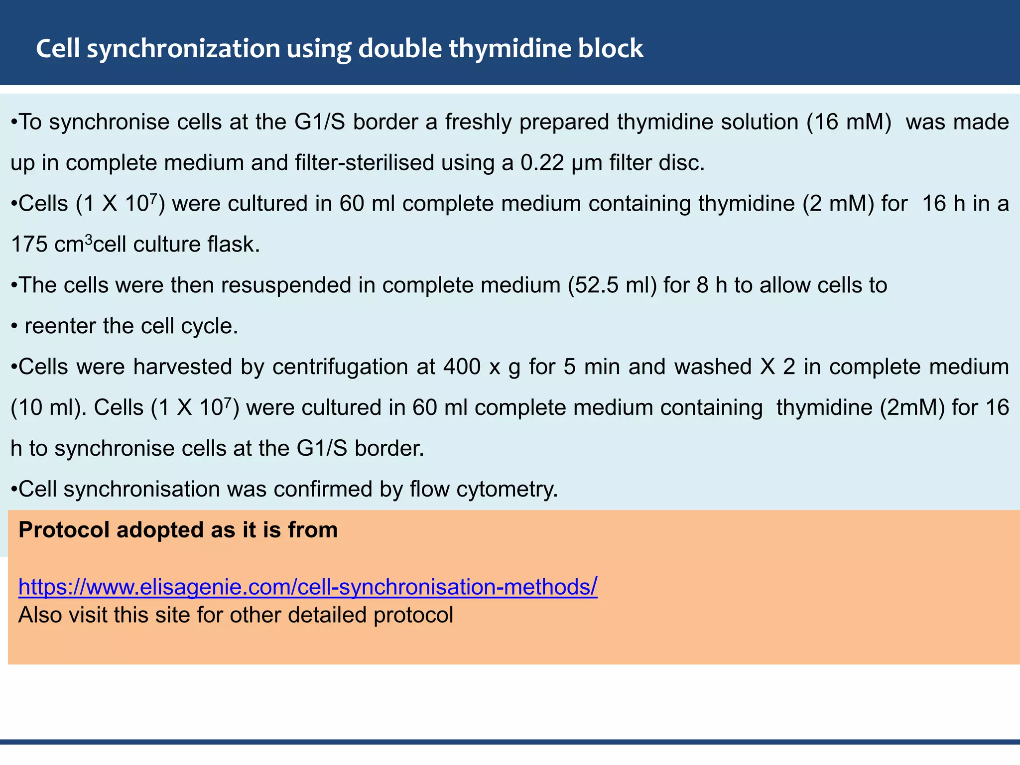 12. Cell synchronization and Immortalization | PPT