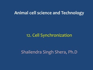 12. Cell synchronization and Immortalization | PPT