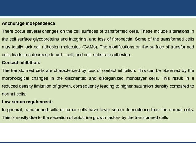 12. Cell synchronization and Immortalization | PPT | Biological ...