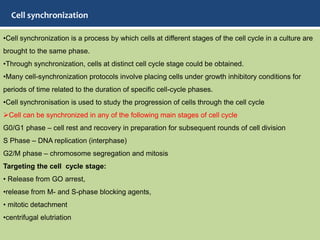 12. Cell synchronization and Immortalization | PPT