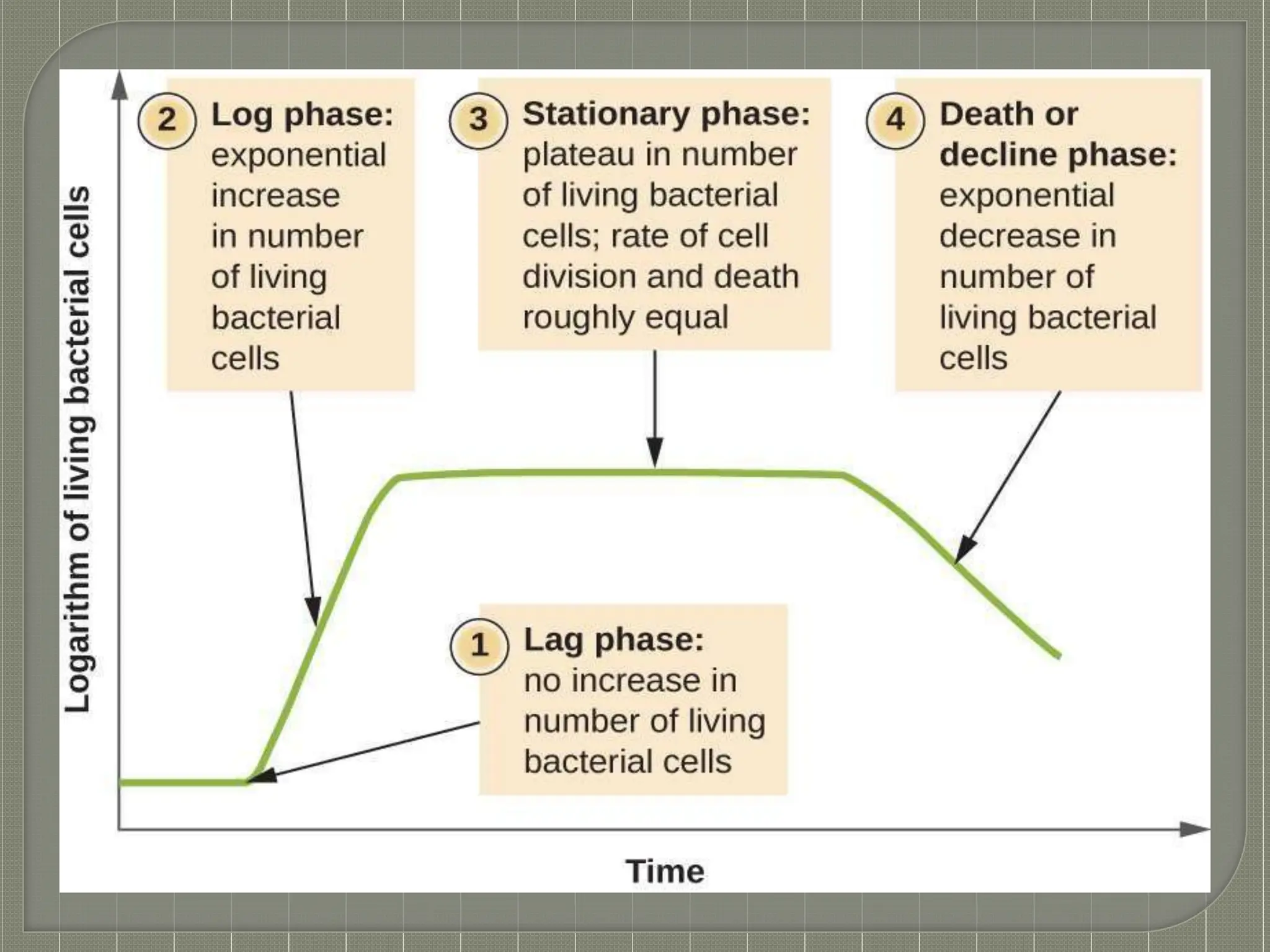 Synchronous-culture-and-continuous-cultivation (2).pptx