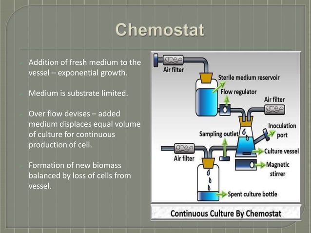 Synchronous-culture-and-continuous-cultivation (2).pptx