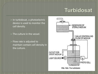 Synchronous-culture-and-continuous-cultivation (2).pptx | Chemistry ...