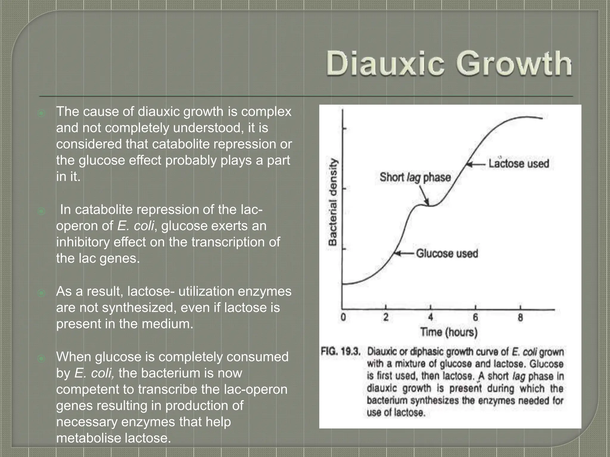 Synchronous-culture-and-continuous-cultivation (2).pptx