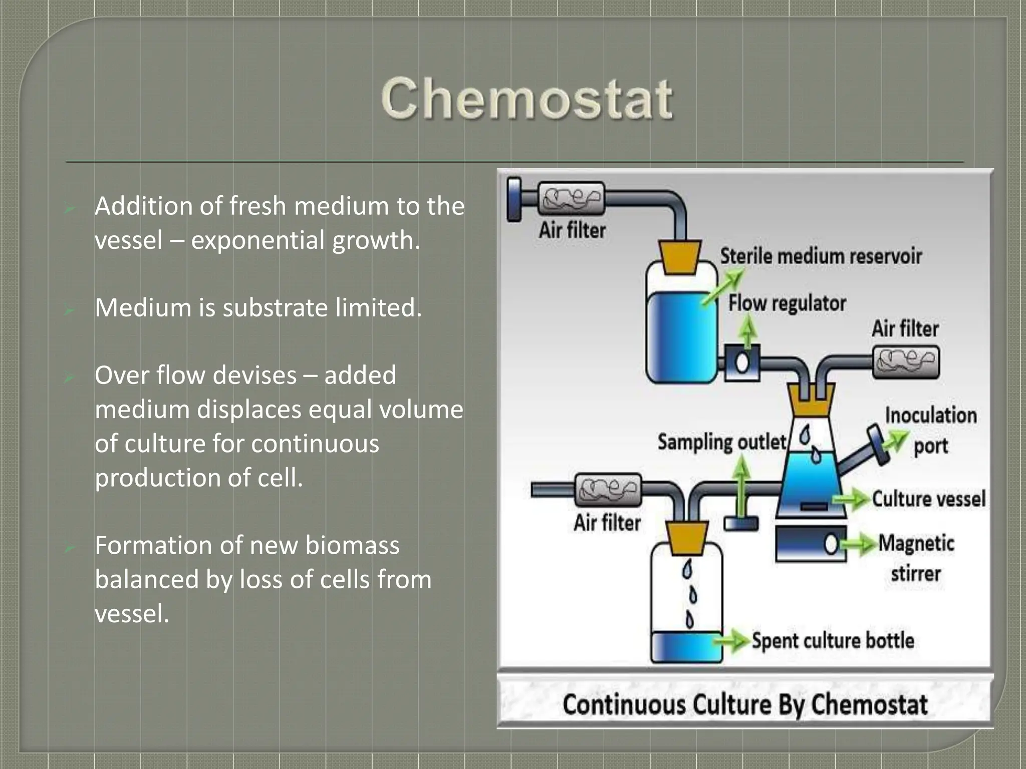Synchronous-culture-and-continuous-cultivation (2).pptx
