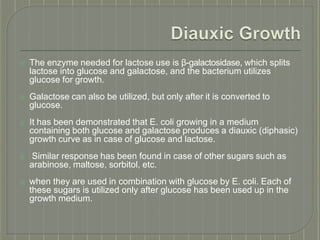 Synchronous-culture-and-continuous-cultivation (2).pptx