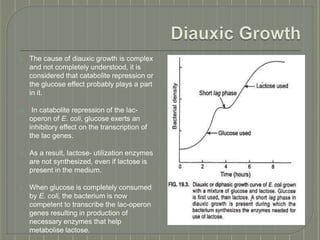 Synchronous-culture-and-continuous-cultivation (2).pptx
