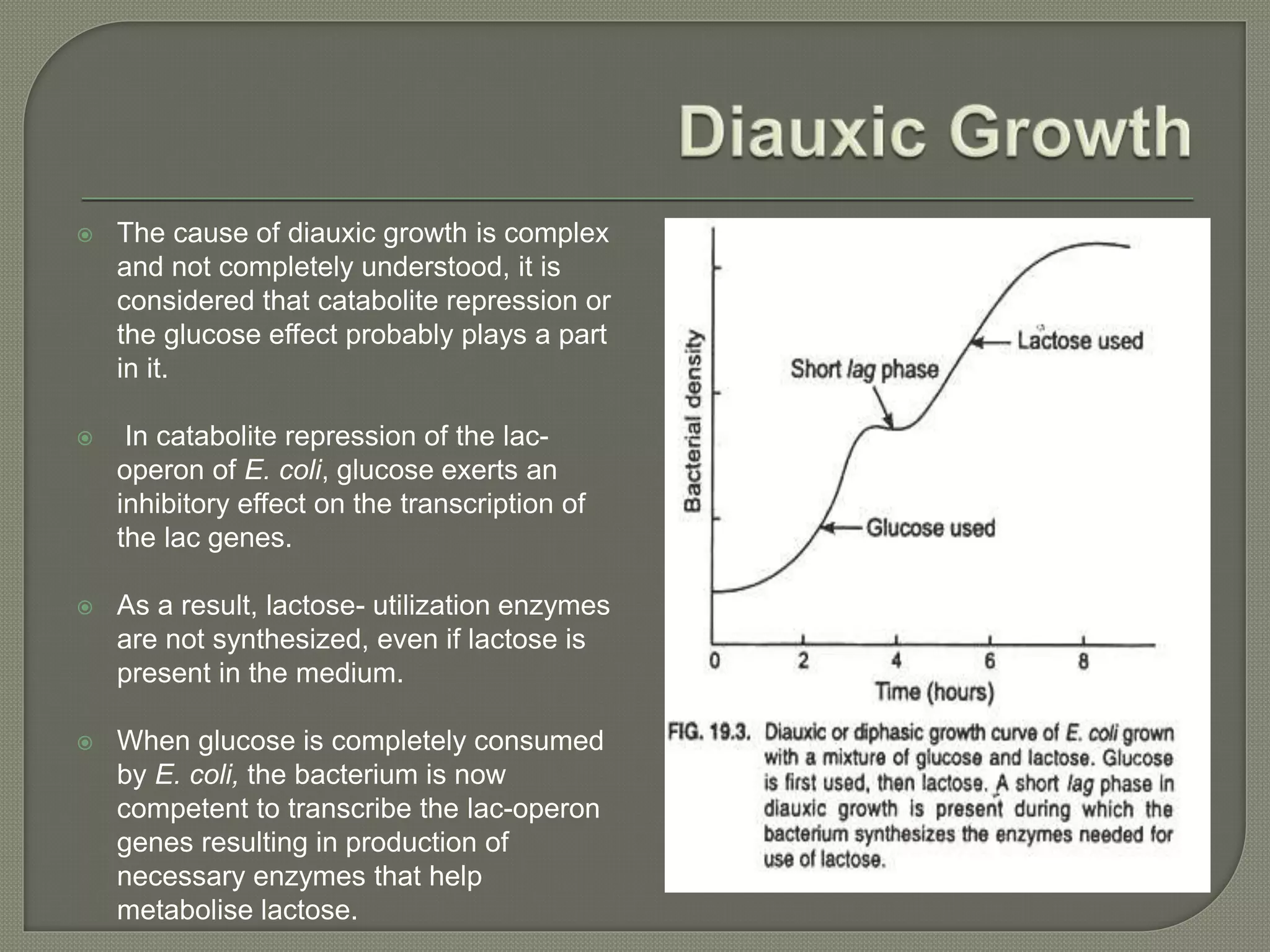 Bacterial growth : Diauxic growth,Synchronous growth and continuous ...