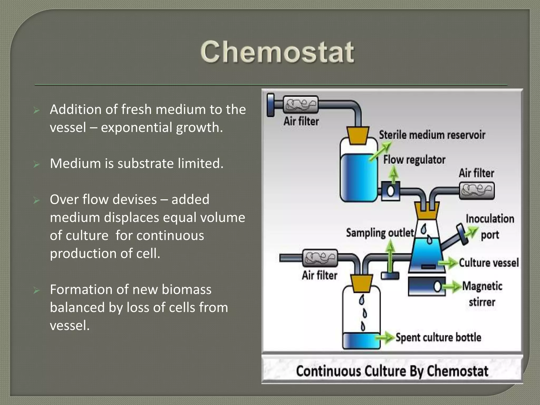 Bacterial growth : Diauxic growth,Synchronous growth and continuous ...