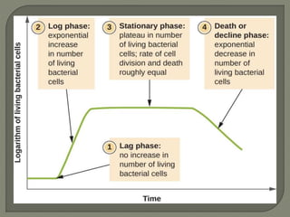 Bacterial growth : Diauxic growth,Synchronous growth and continuous ...