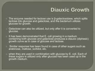 Bacterial growth : Diauxic growth,Synchronous growth and continuous growth | PPTX