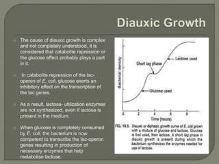 Bacterial growth : Diauxic growth,Synchronous growth and continuous growth | PPTX