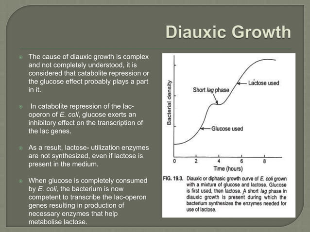 Bacterial growth : Diauxic growth,Synchronous growth and continuous ...