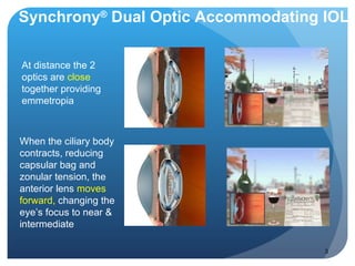 Synchrony | PPT