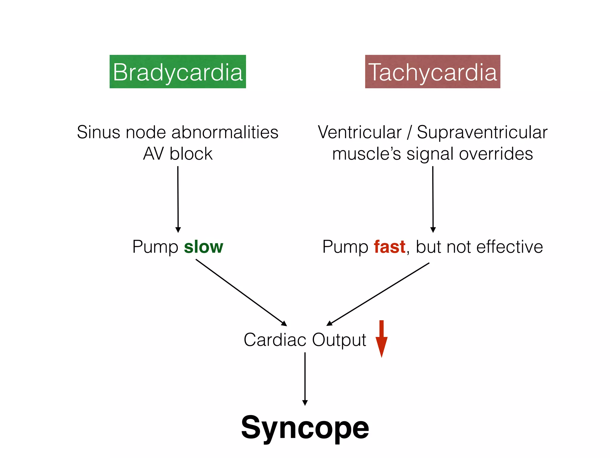 Syncope: Etiology & Pathophysiology | PDF