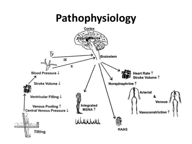 approach to Syncope patient in ED