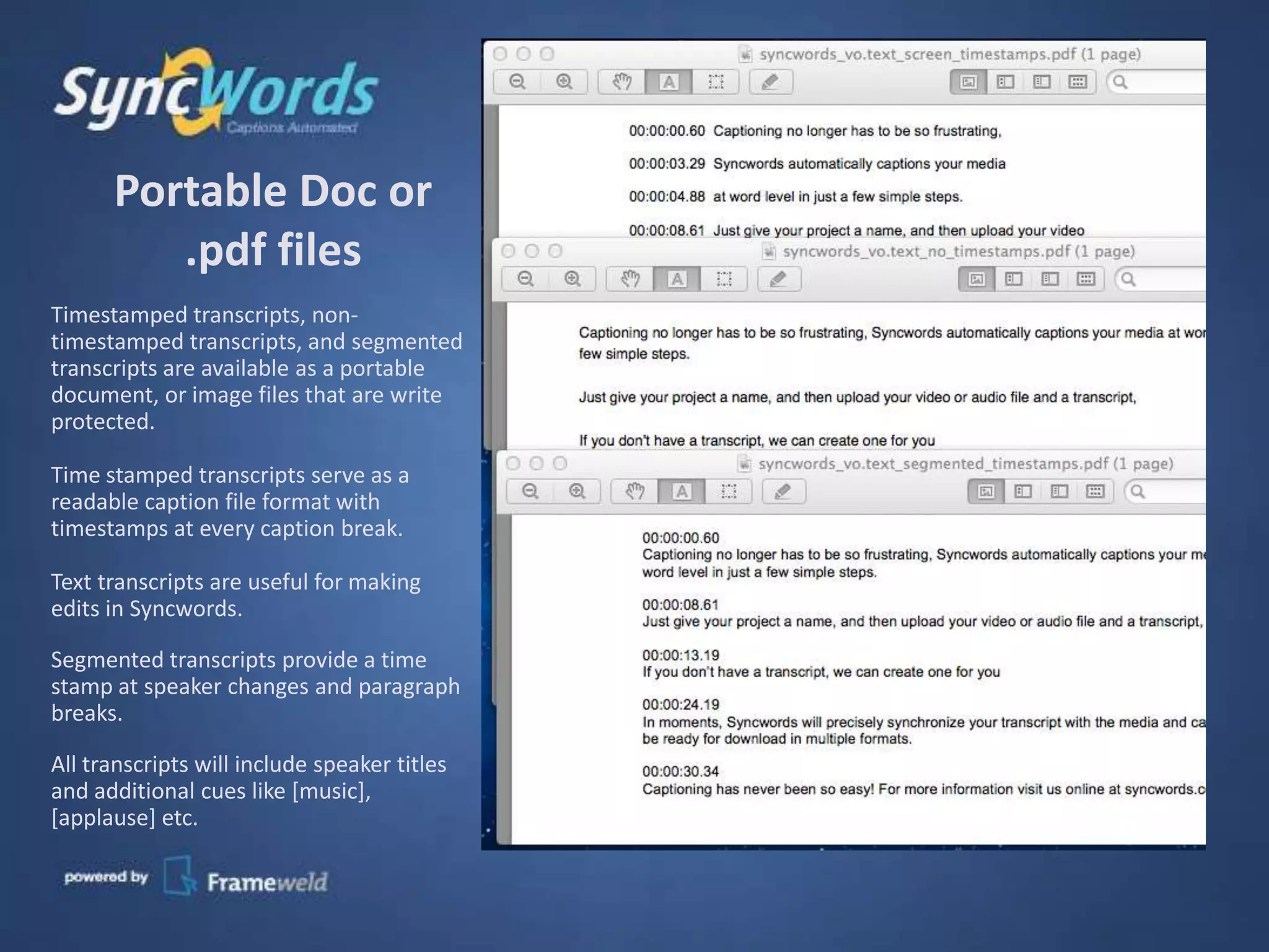 Syncwords Caption File Formats | PPT