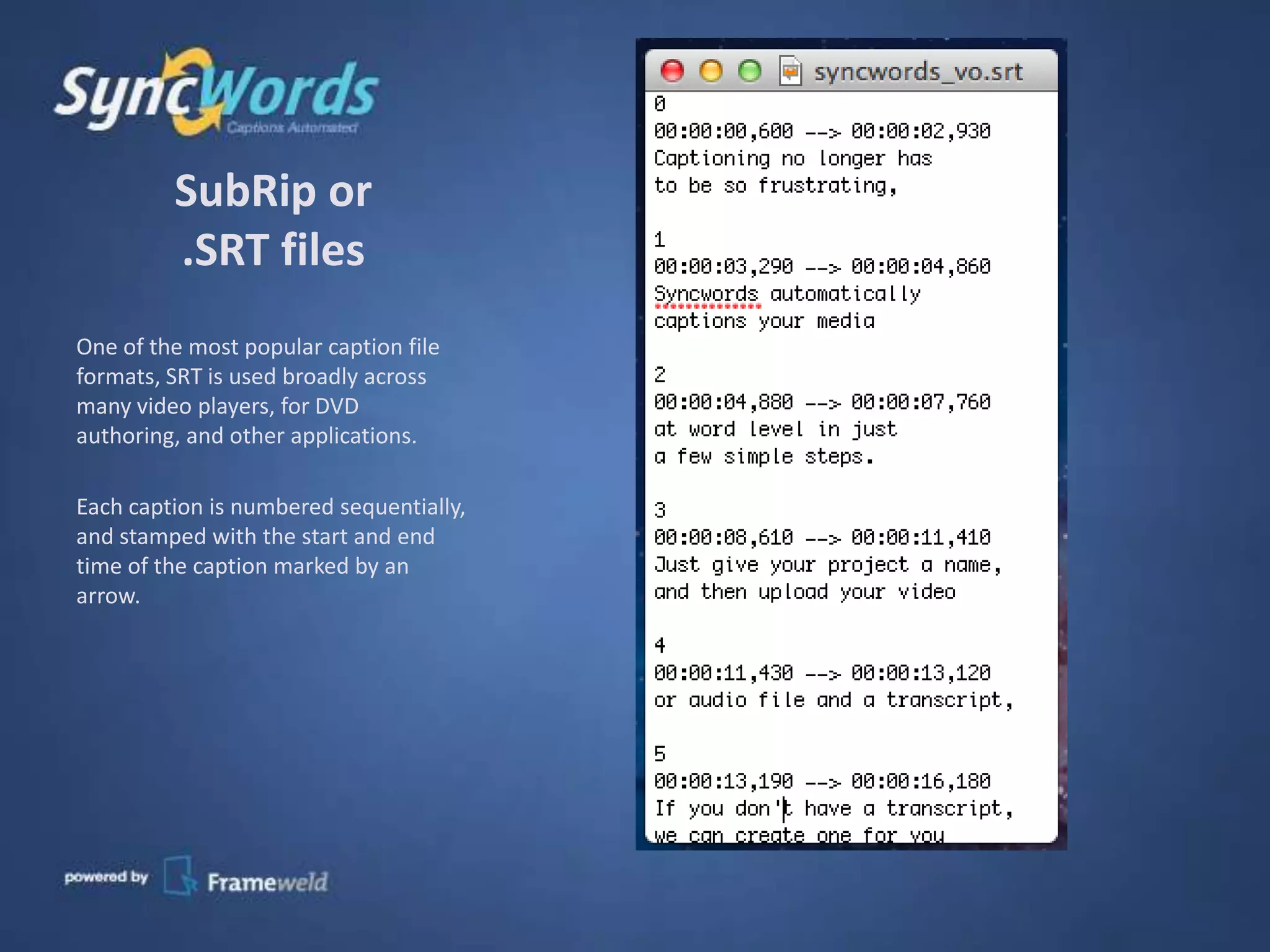 Syncwords Caption File Formats | PPT