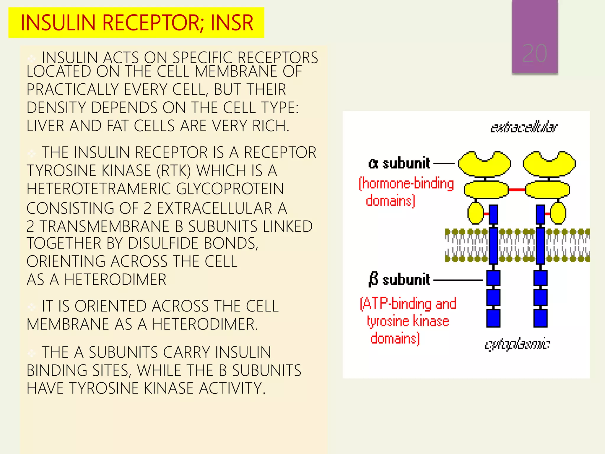 Syndromes of severe insulin resistance | PPTX