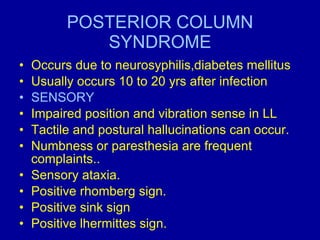 Syndromes Of Spinal Cord | PPT