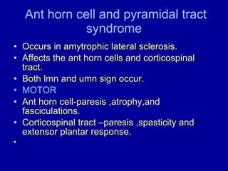 Syndromes Of Spinal Cord | PPT