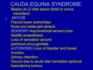 Syndromes Of Spinal Cord | PPT