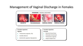 SYNDROMIC APPROACH TO VAGINAL DISCHARGE (1).pptx