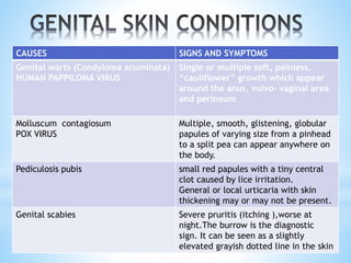 Syndromic management of sexually transmitted disease | PPTX