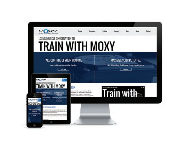 Synecore Design Overview | PPT