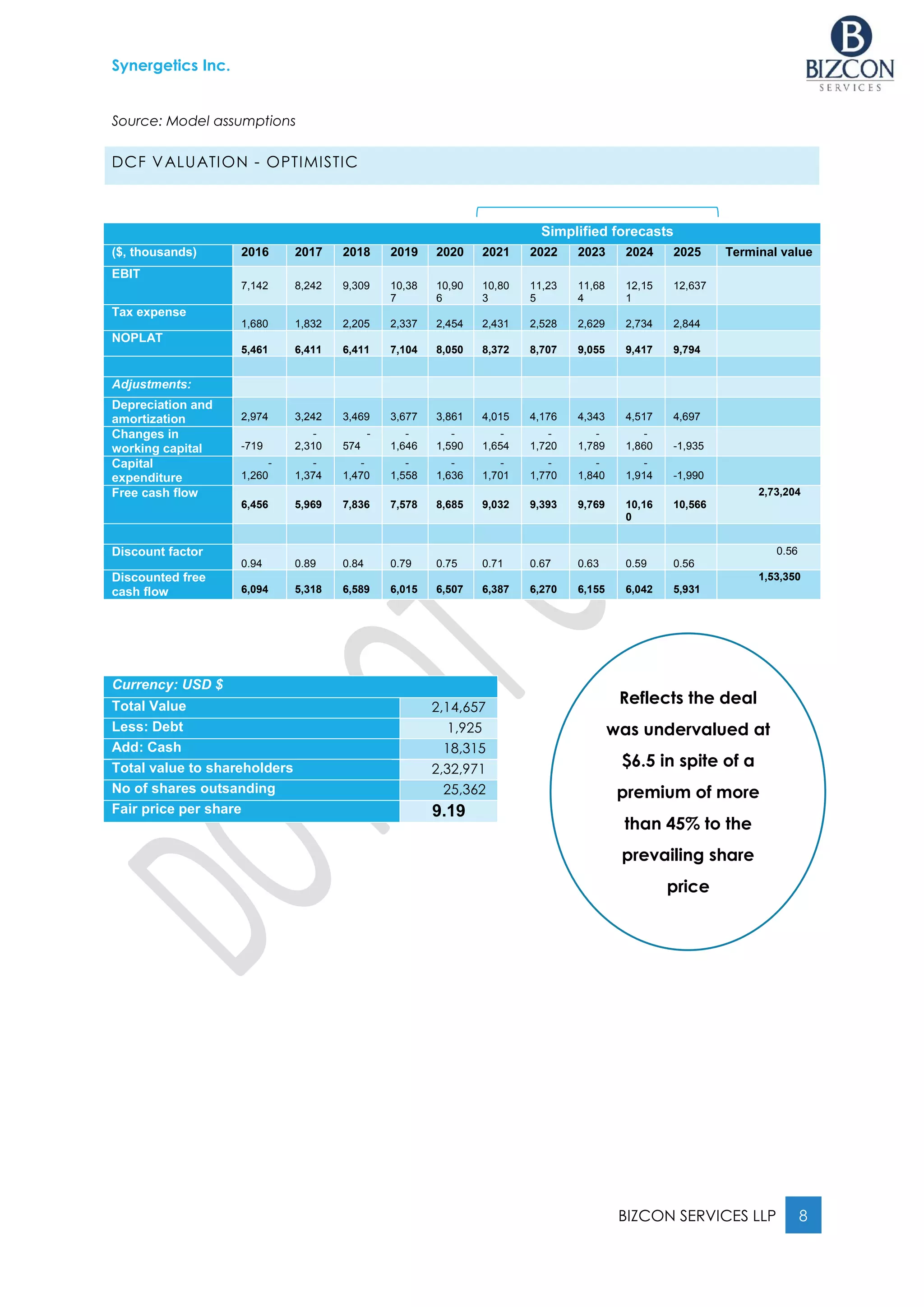 Synergetics financial analysis report | PDF