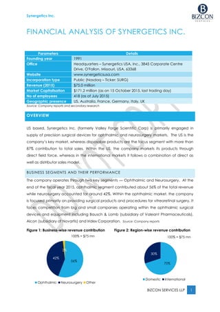 Synergetics financial analysis report | PDF