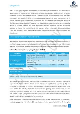 Synergetics financial analysis report | PDF
