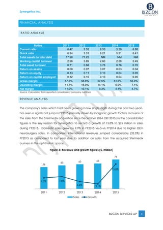 Synergetics financial analysis report | PDF