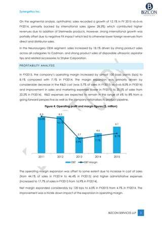 Synergetics financial analysis report | PDF