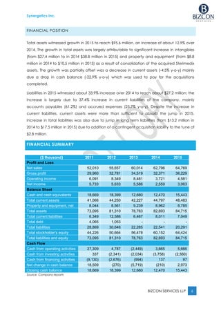 Synergetics financial analysis report | PDF