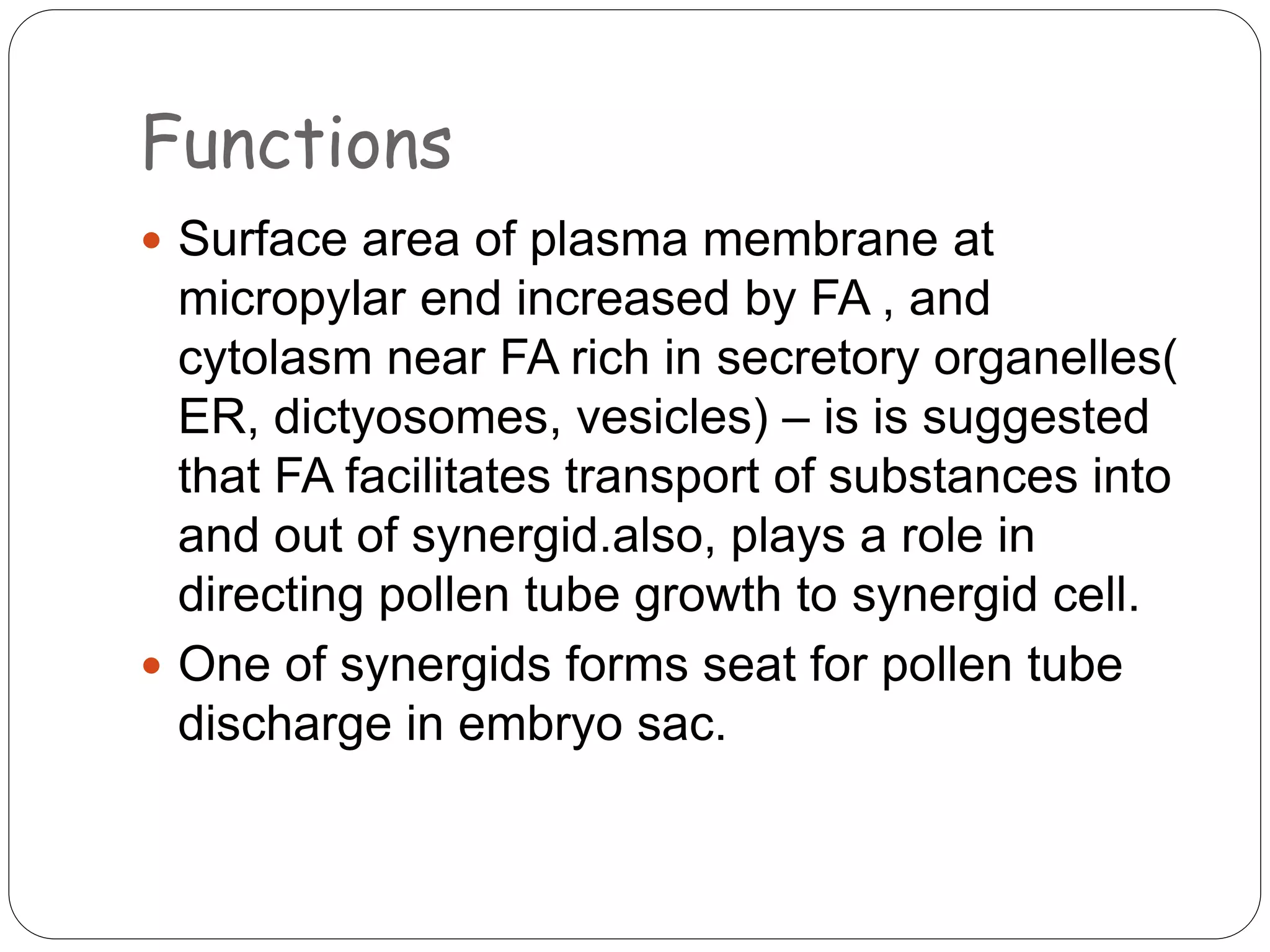 Synergids and its functions , reproductive biology of angiosperms | PPTX