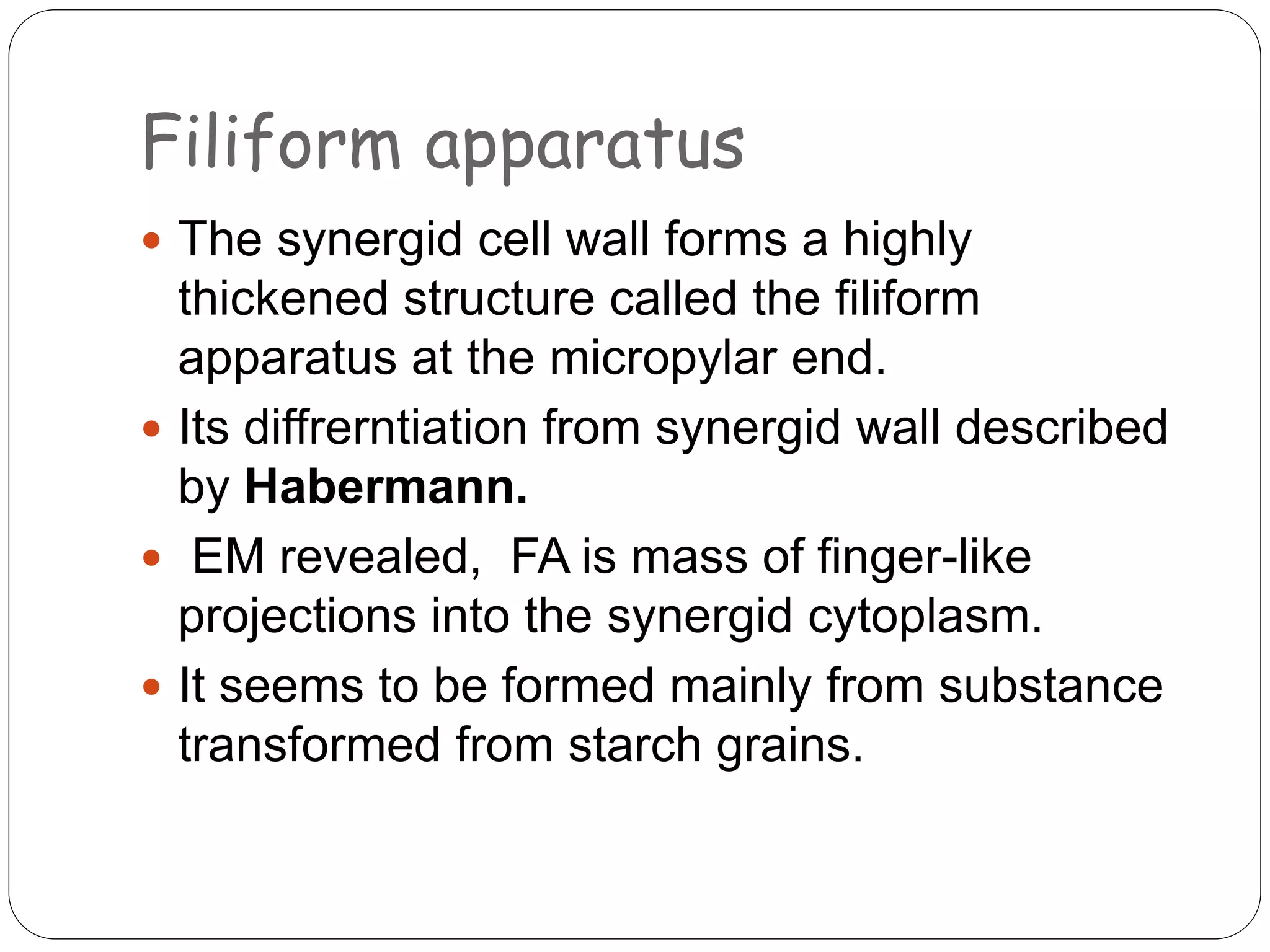 Synergids and its functions , reproductive biology of angiosperms | PPTX