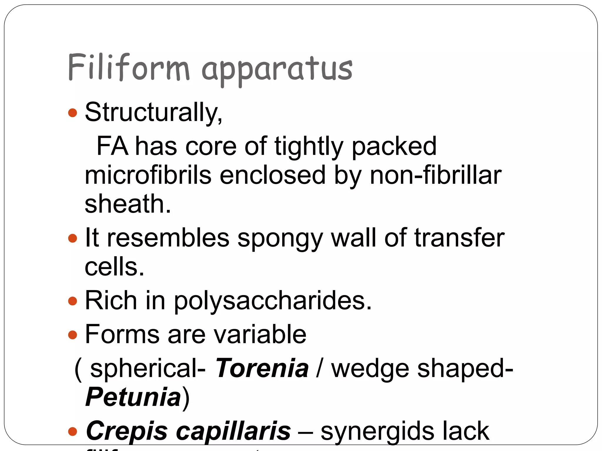 Synergids and its functions , reproductive biology of angiosperms | PPTX