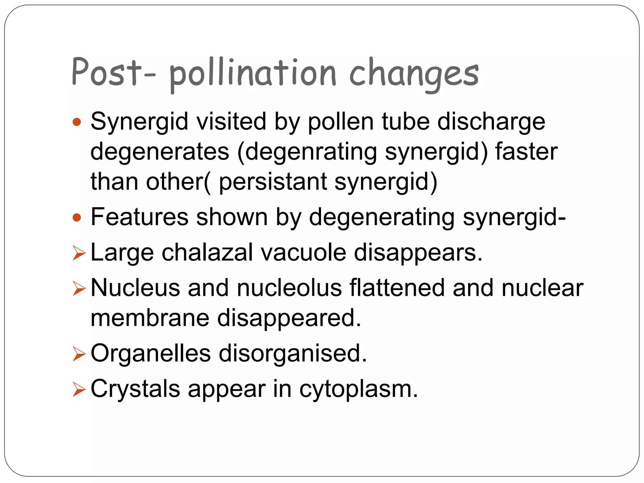 Synergids and its functions , reproductive biology of angiosperms | PPTX