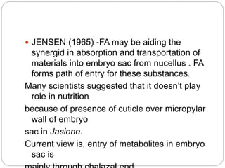 Synergids and its functions , reproductive biology of angiosperms | PPTX
