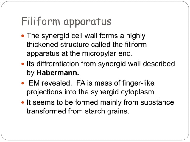 Synergids and its functions , reproductive biology of angiosperms | PPTX
