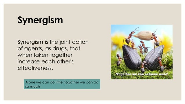 SYNERGISM IN TERRESTRIAL ECOSYSTEM | PPT