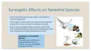 SYNERGISM IN TERRESTRIAL ECOSYSTEM | PDF