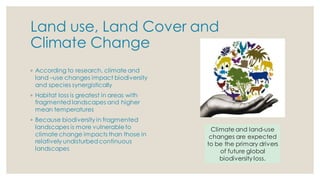 SYNERGISM IN TERRESTRIAL ECOSYSTEM | PDF